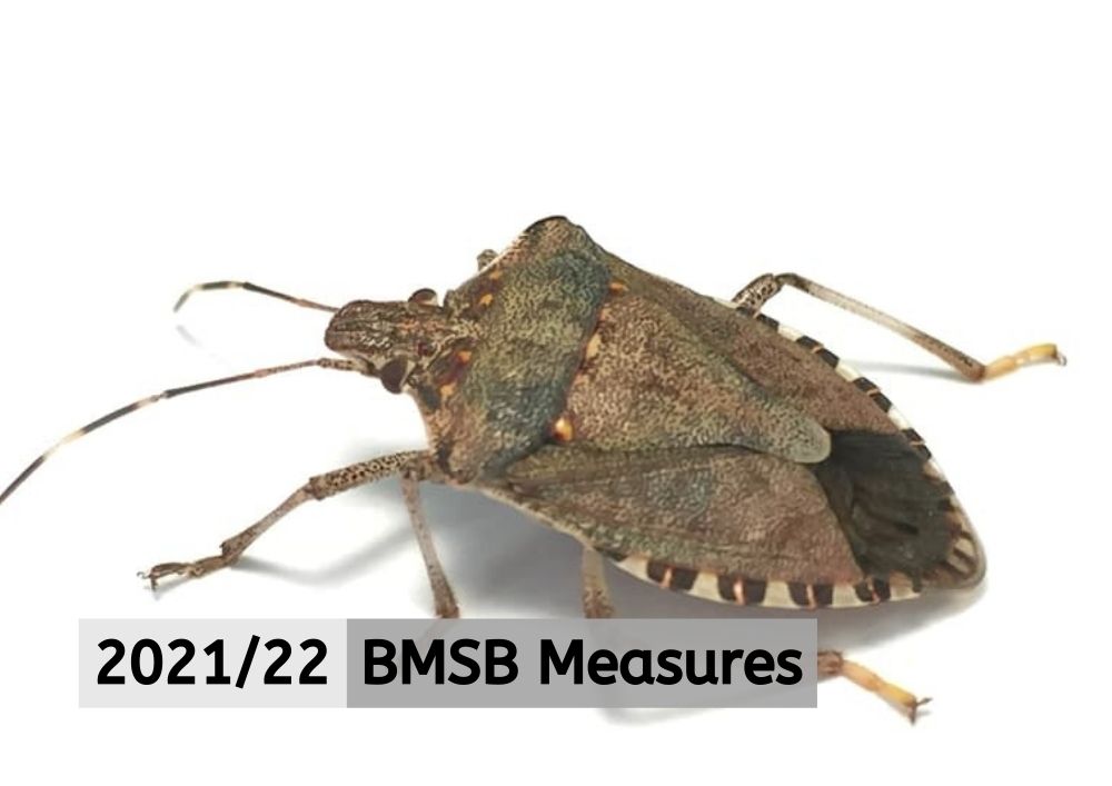 2021/22 BMSB Seasonal Measures
